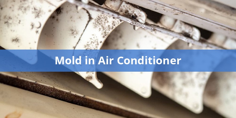 Mold In Air Conditioner (Causes, Prevention, Removal, Symptoms) - PICKHVAC